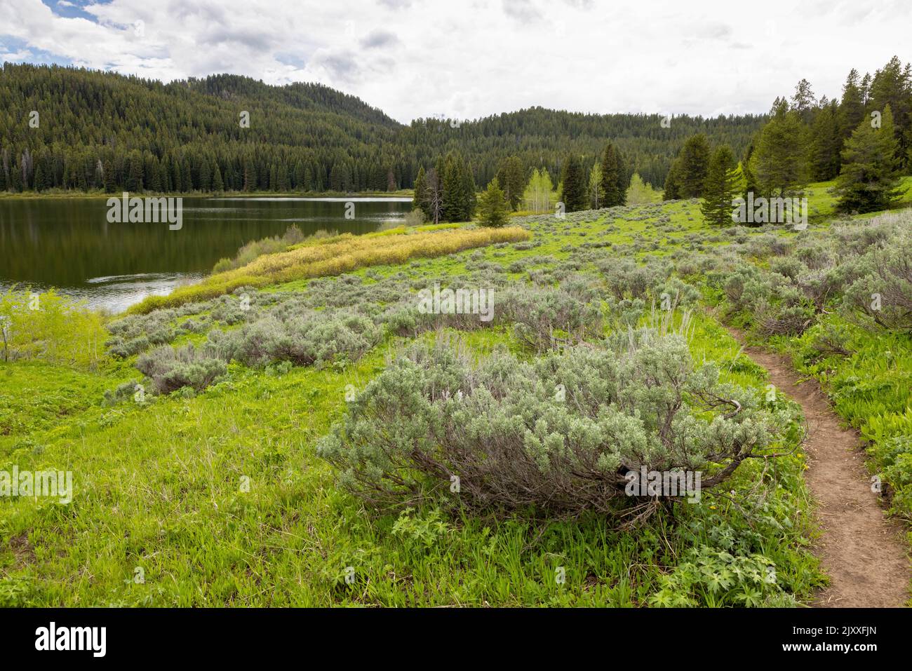 The Two Ocean Lake Trail winding above Two Ocean Lake as both lie below ...