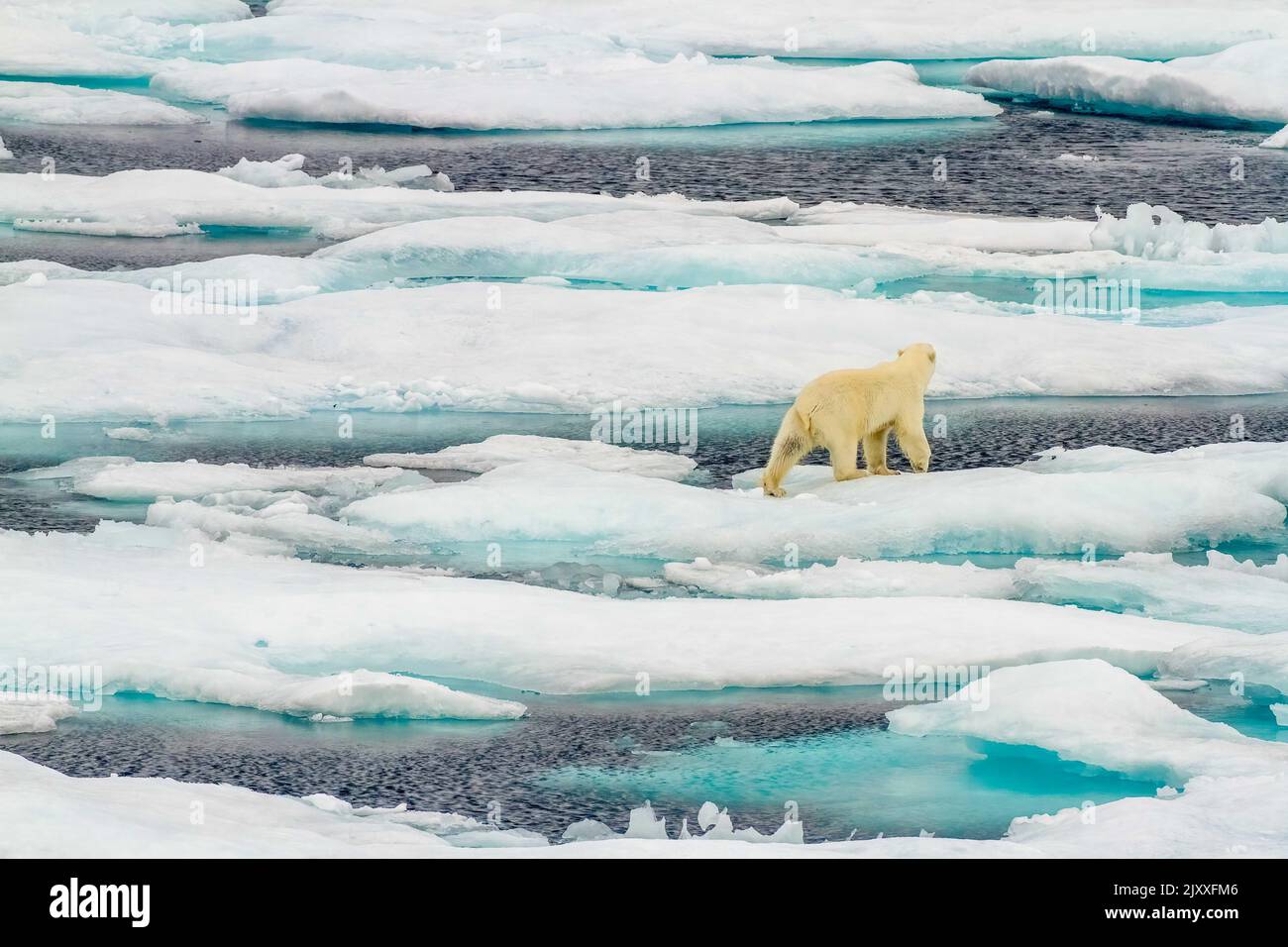 Viscount melville sound hi-res stock photography and images - Alamy