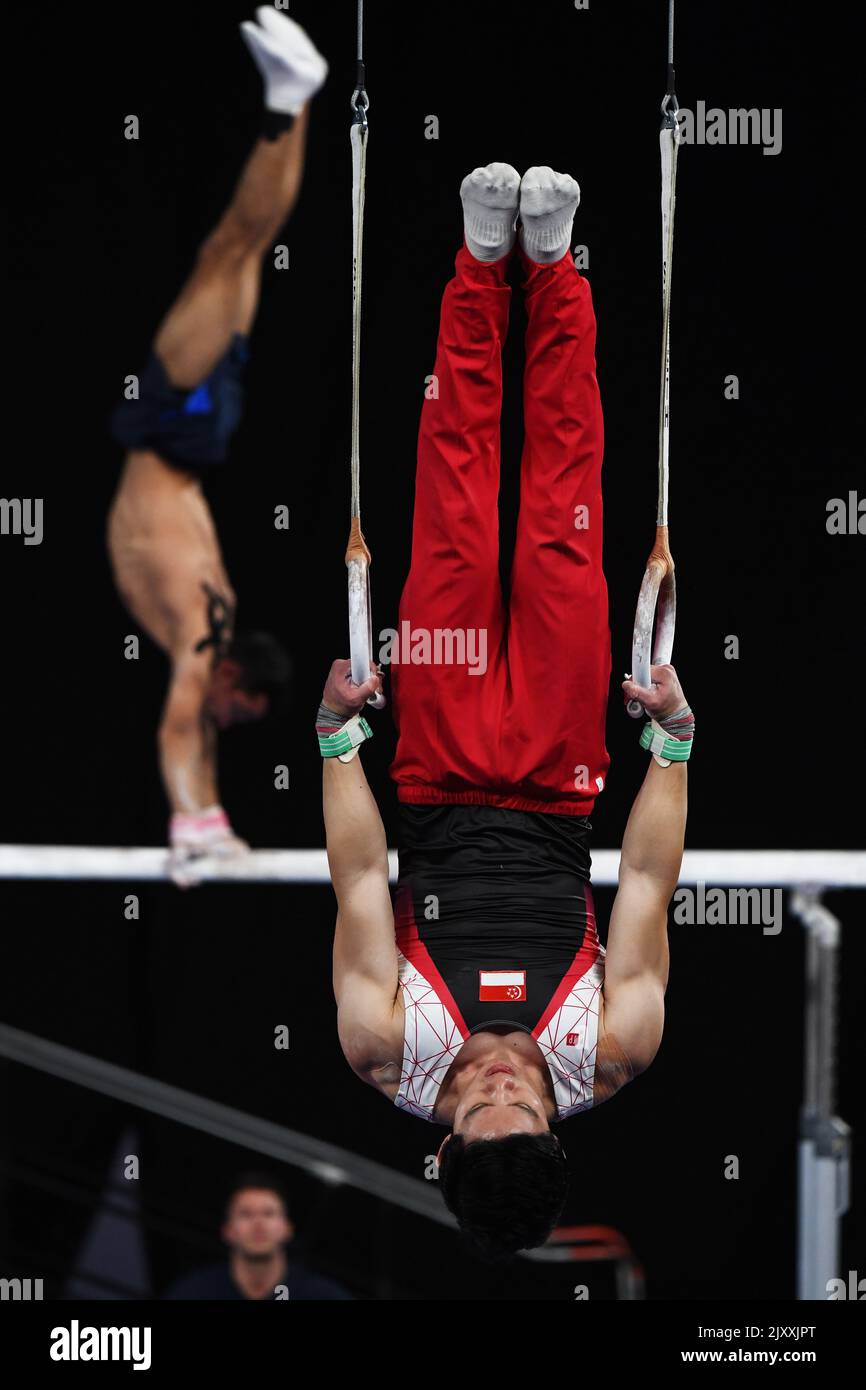 Wei An Terry Tay of Singapore is seen in action on the rings during the ...