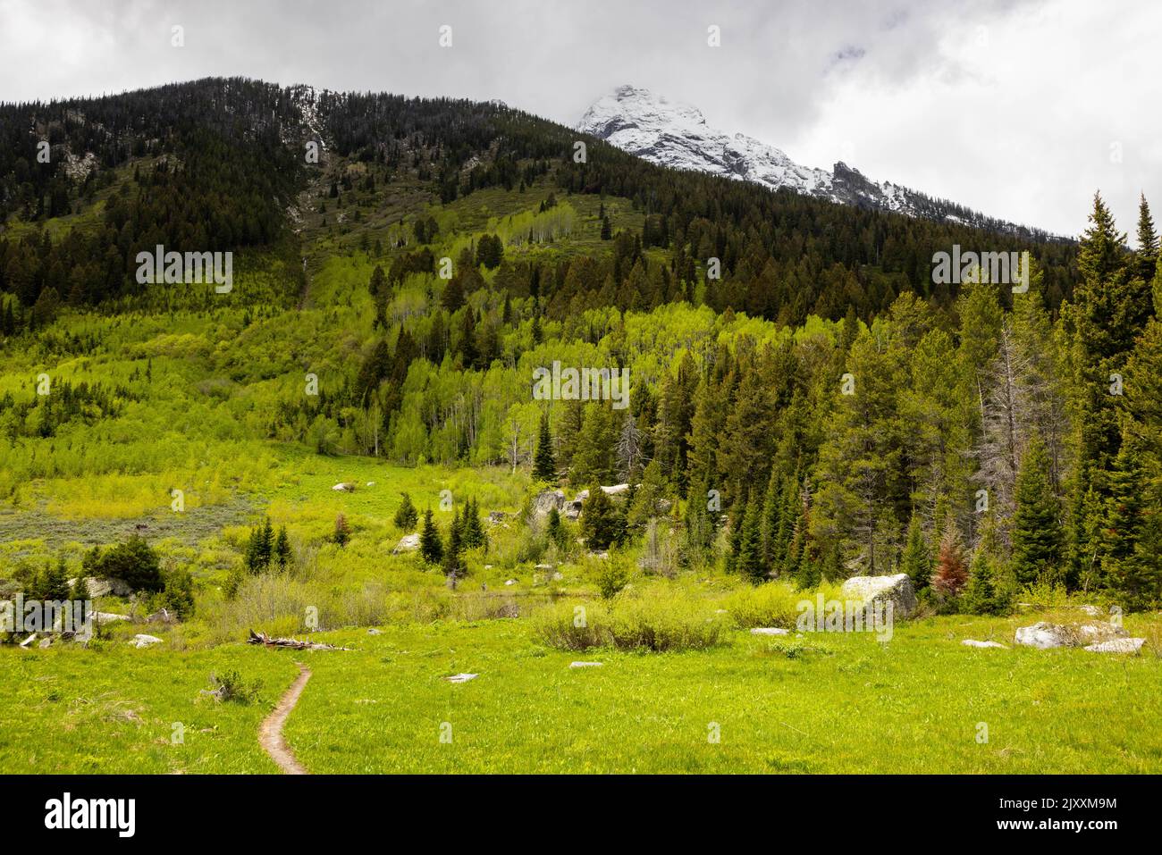 The Trapper Lake Trail dead-ending into the base of Mount Moran. Grand ...