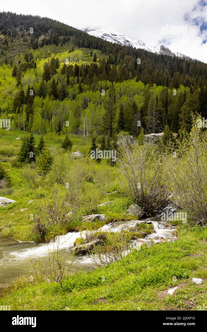 A stream cascading over small waterfalls into Trapper Lake below Mount ...