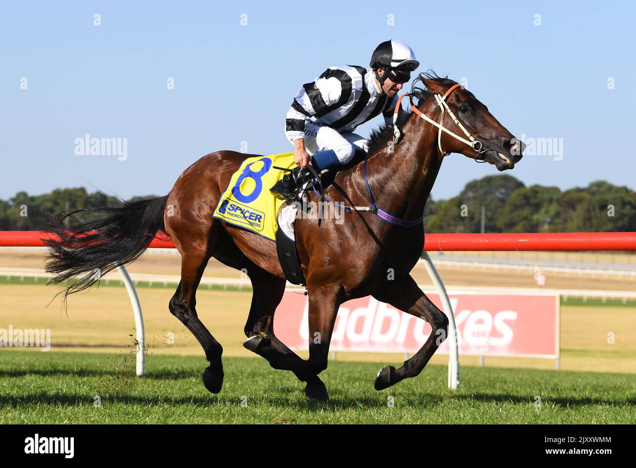Jockey James Winks rides Permissive Star to victory in race 5, the ...