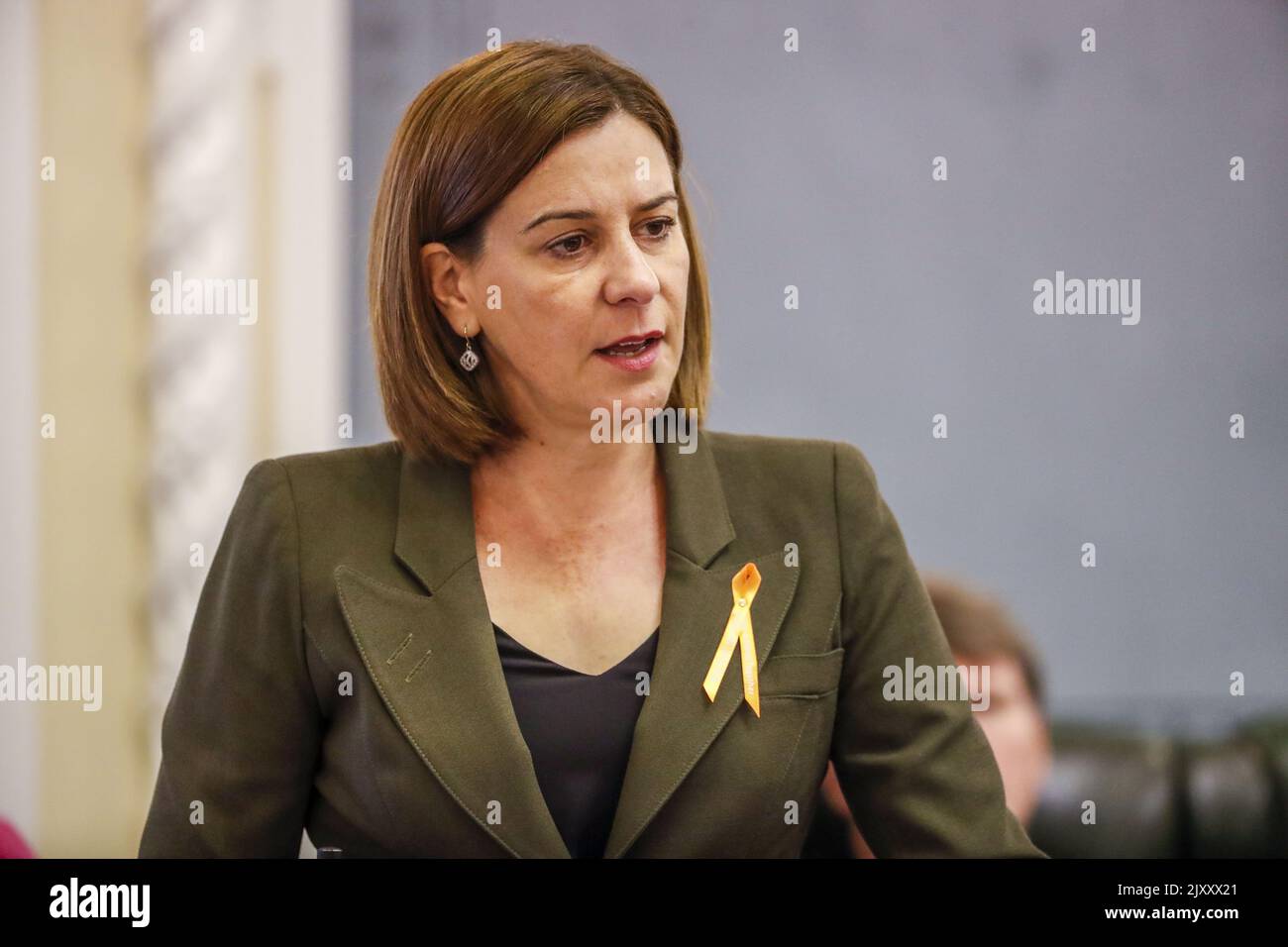 Queensland Opposition Leader Deb Frecklington speaks during Question ...