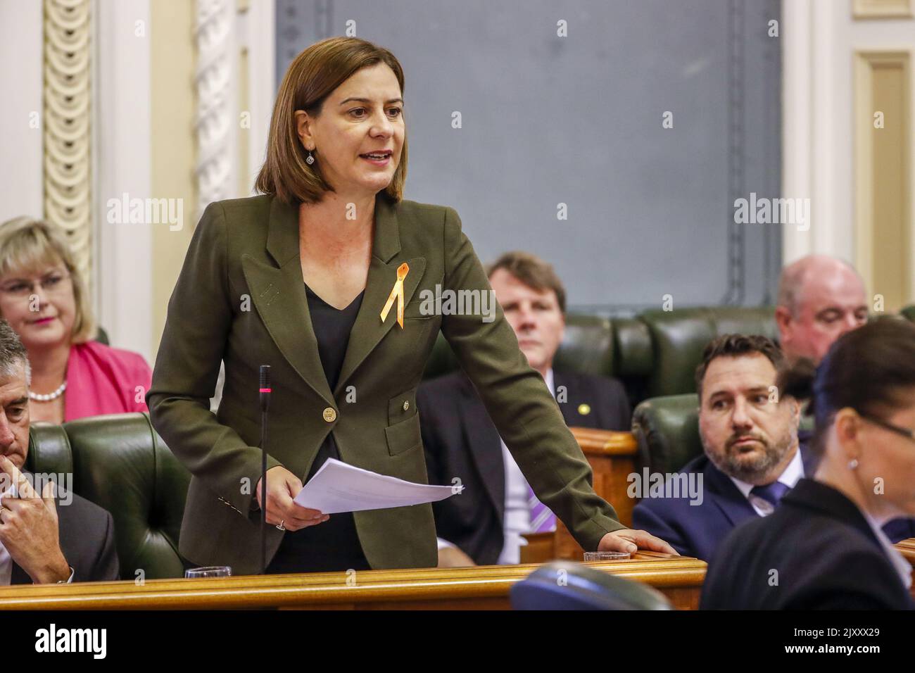 Queensland Opposition Leader Deb Frecklington speaks during Question ...