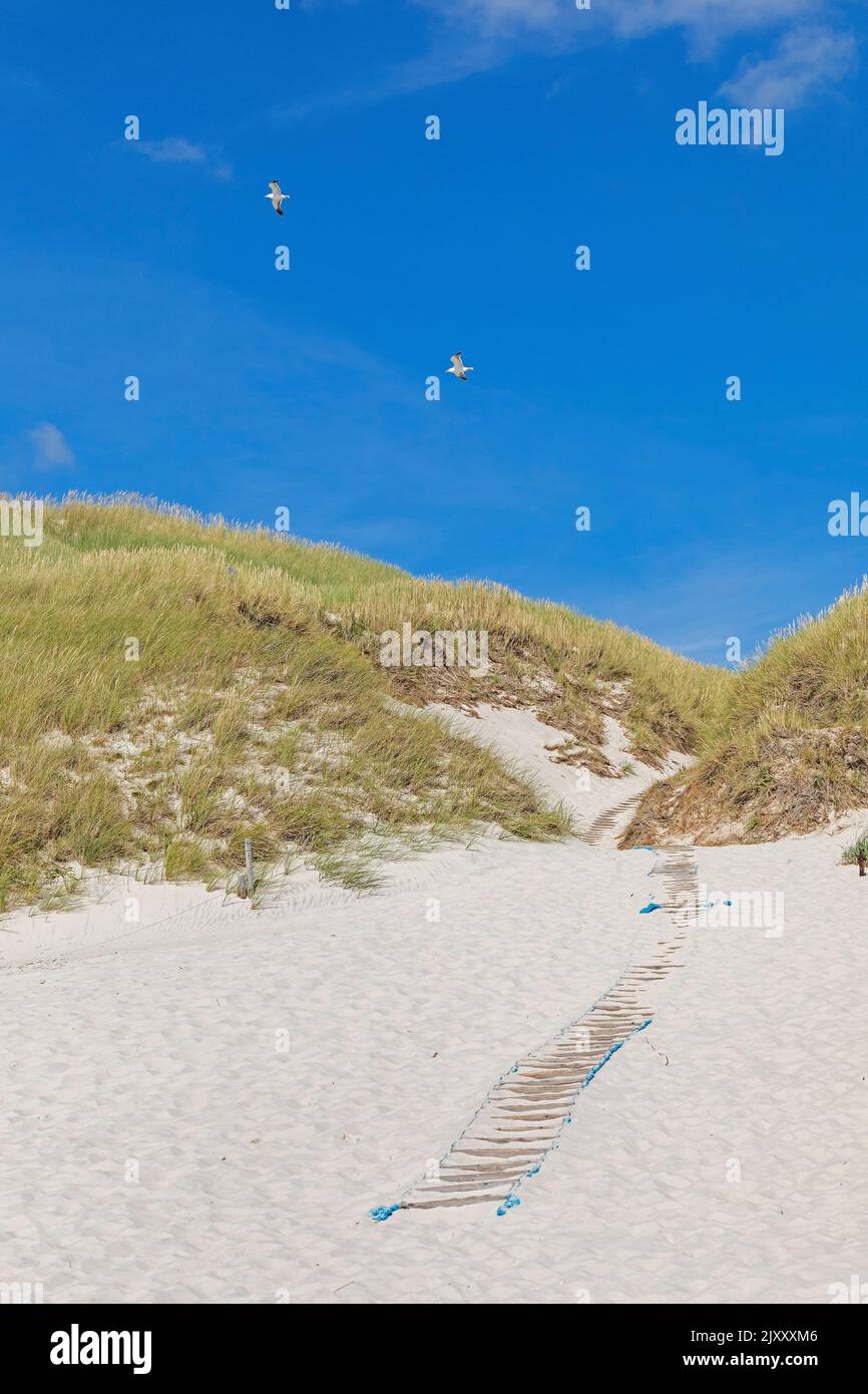 Beach entrance, Amrum Island, North Friesland, Schleswig-Holstein ...