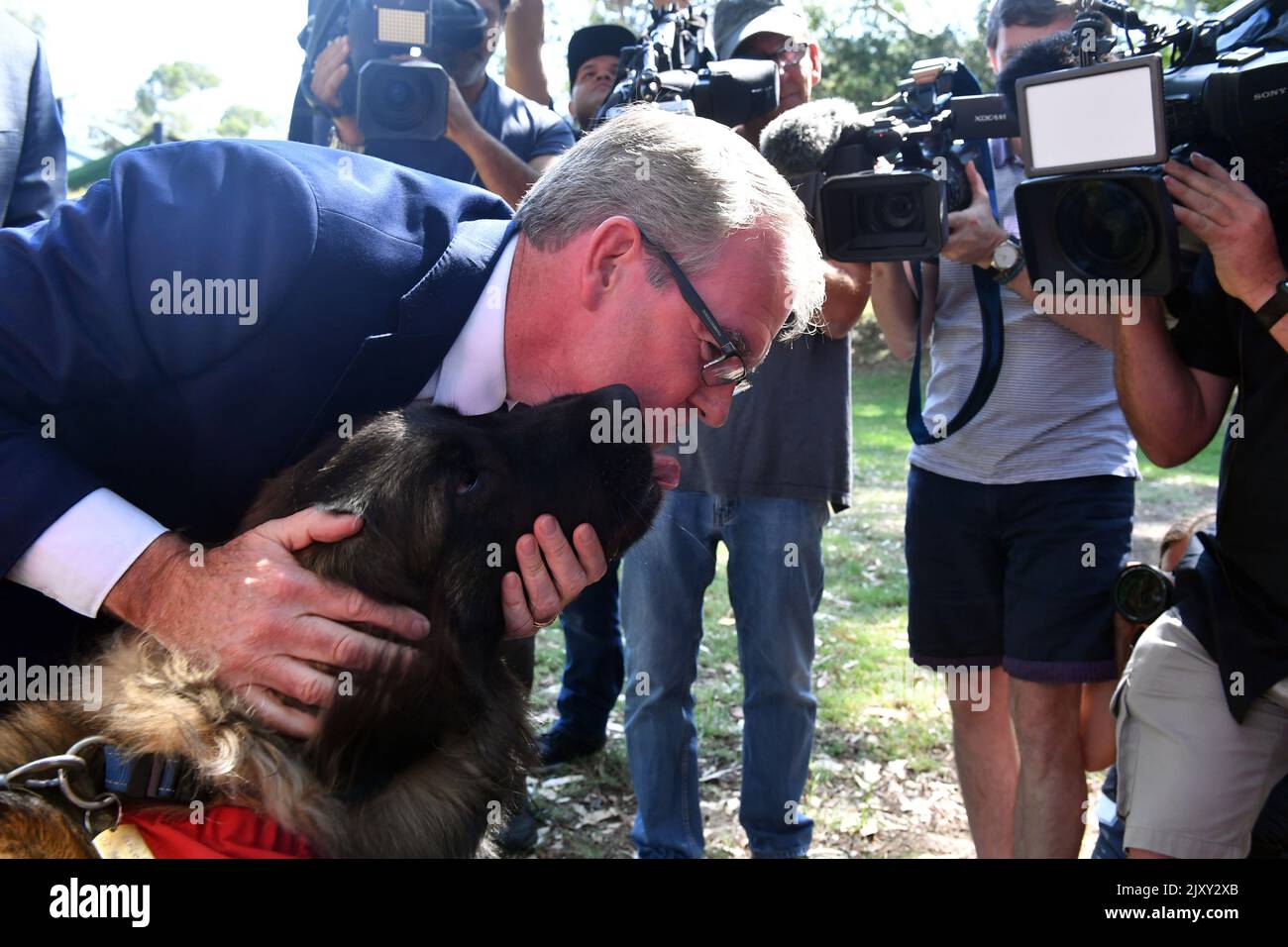 NSW Leader of the Opposition Michael Daley with therapy dogs before a ...