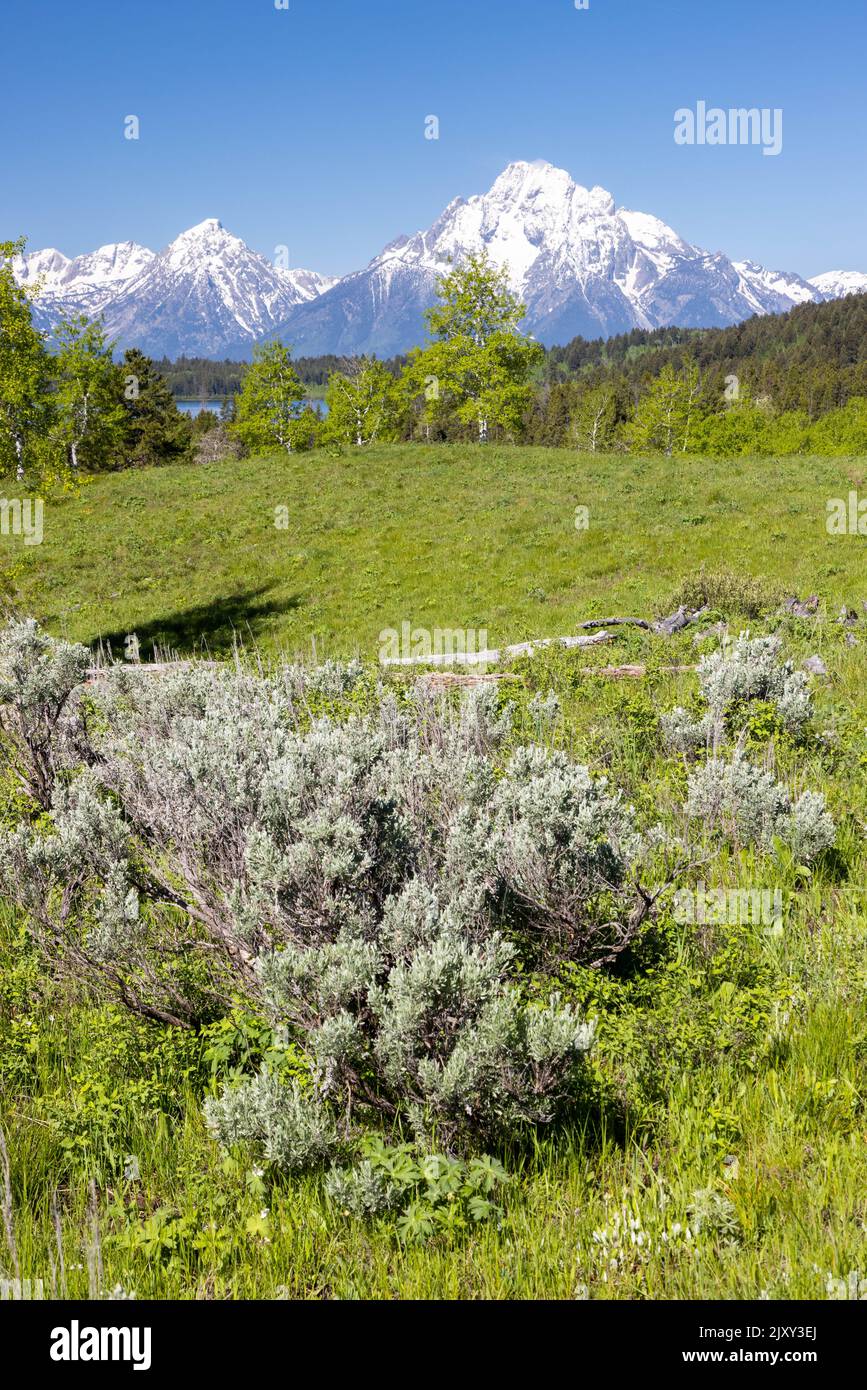 Emma matilda lake hi-res stock photography and images - Alamy