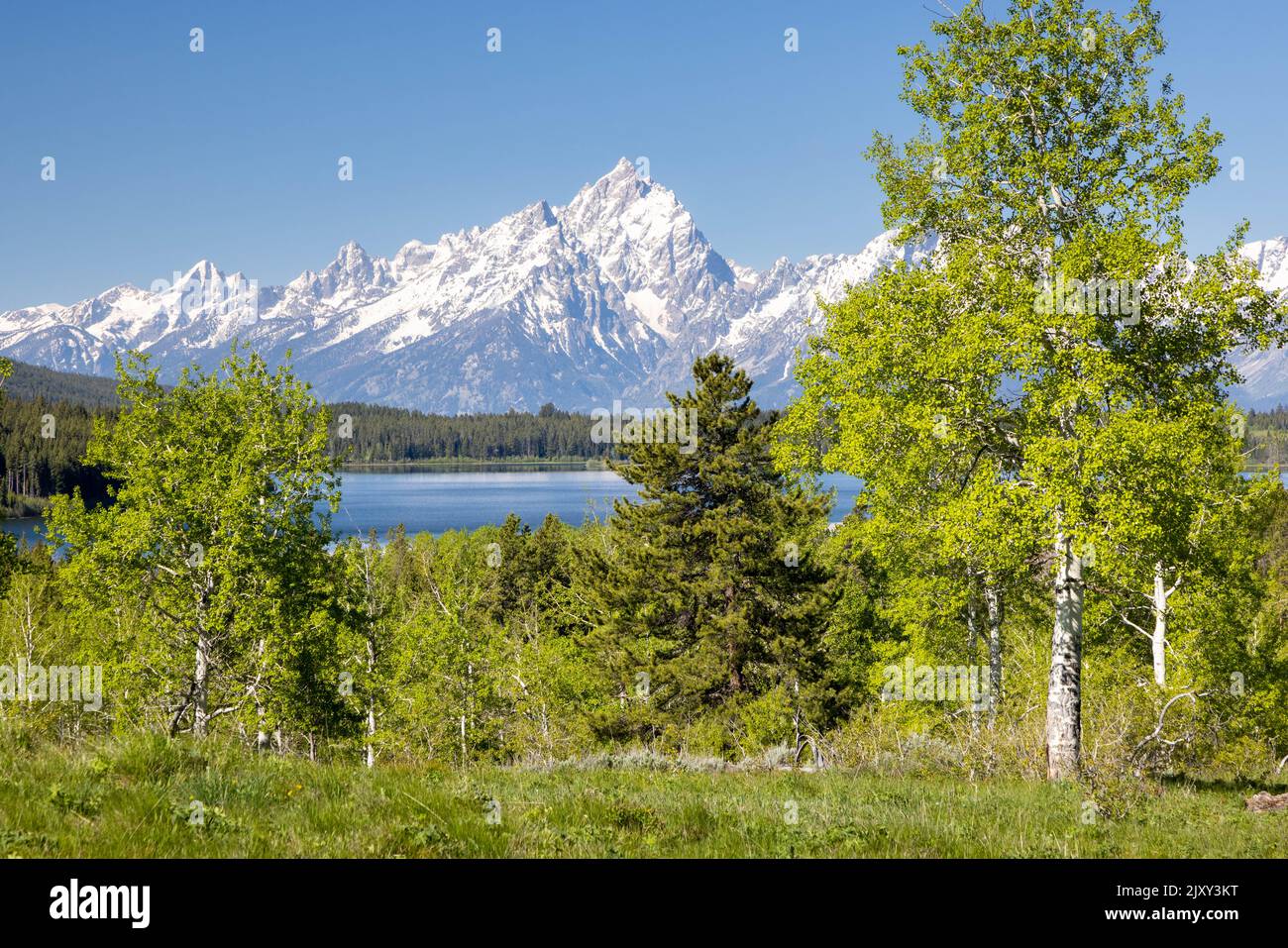The Grand Teton and the Teton Mountains rising high above Emma Matilda ...