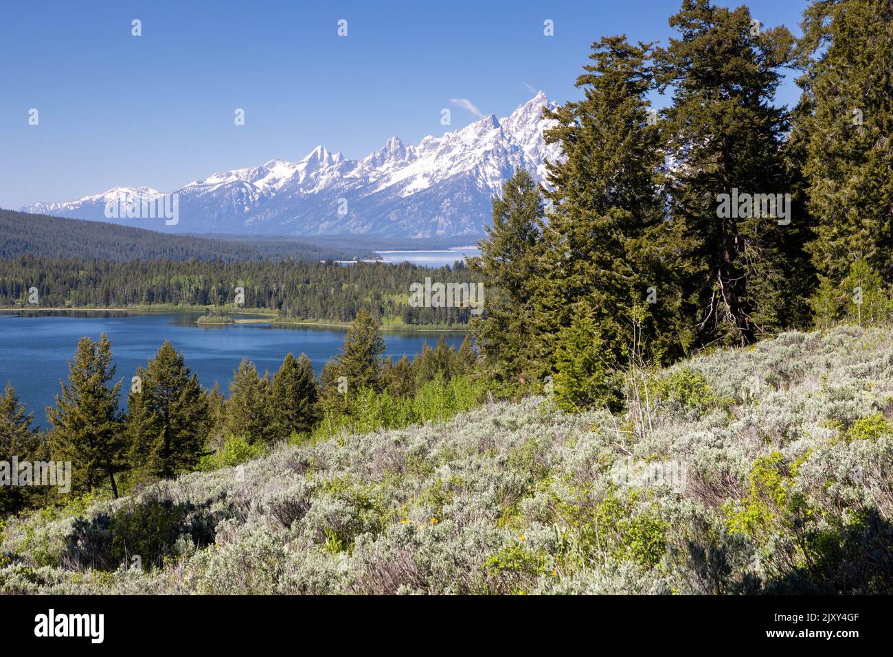 The Teton Mountains rising high above Emma Matilda Lake and Jackson ...