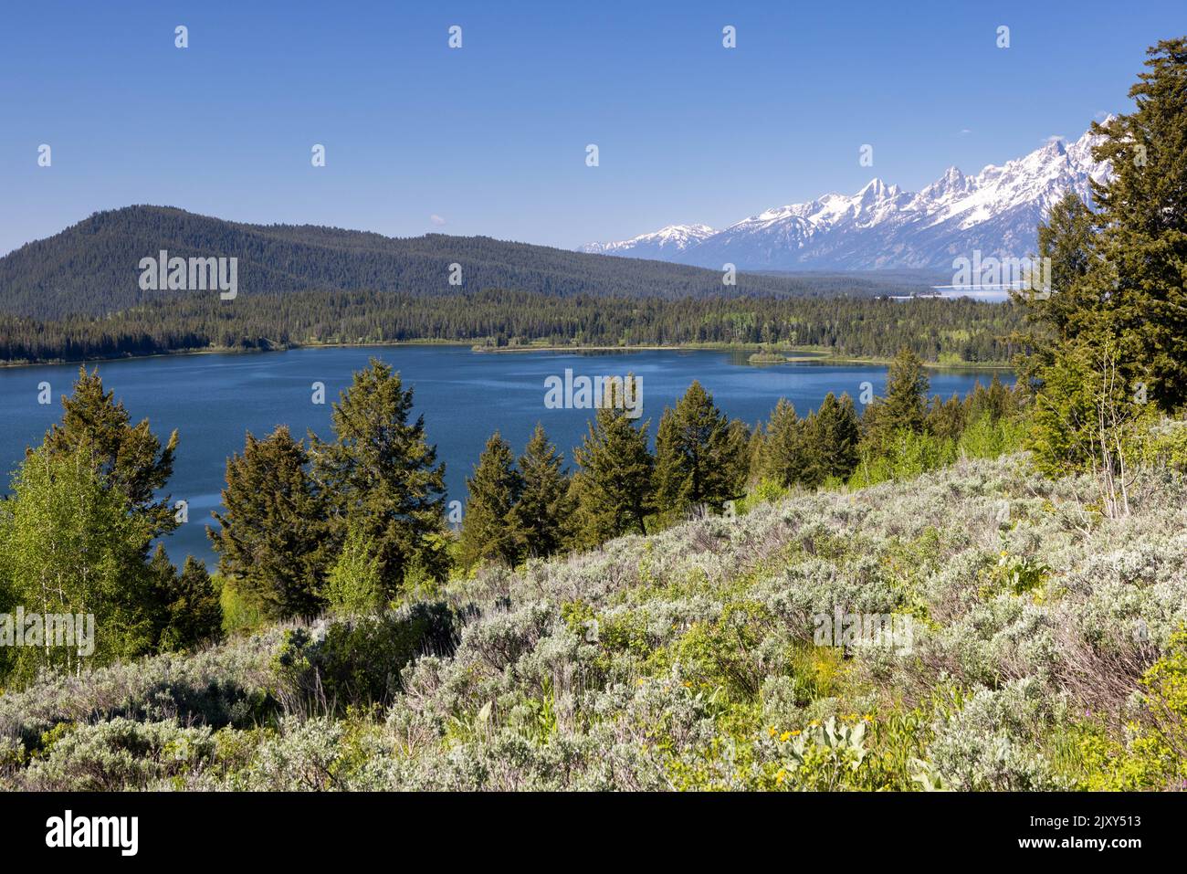 Signal Mountain rising in the distance above Emma Matilda Lake. Grand ...