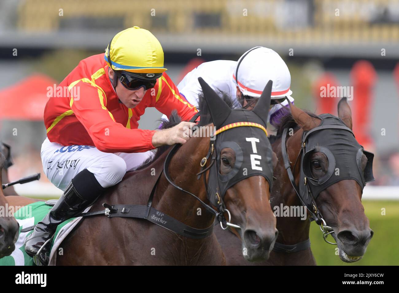 Jockey Tommy Berry rides Winter Bride to victory in race 1, the Wenona ...