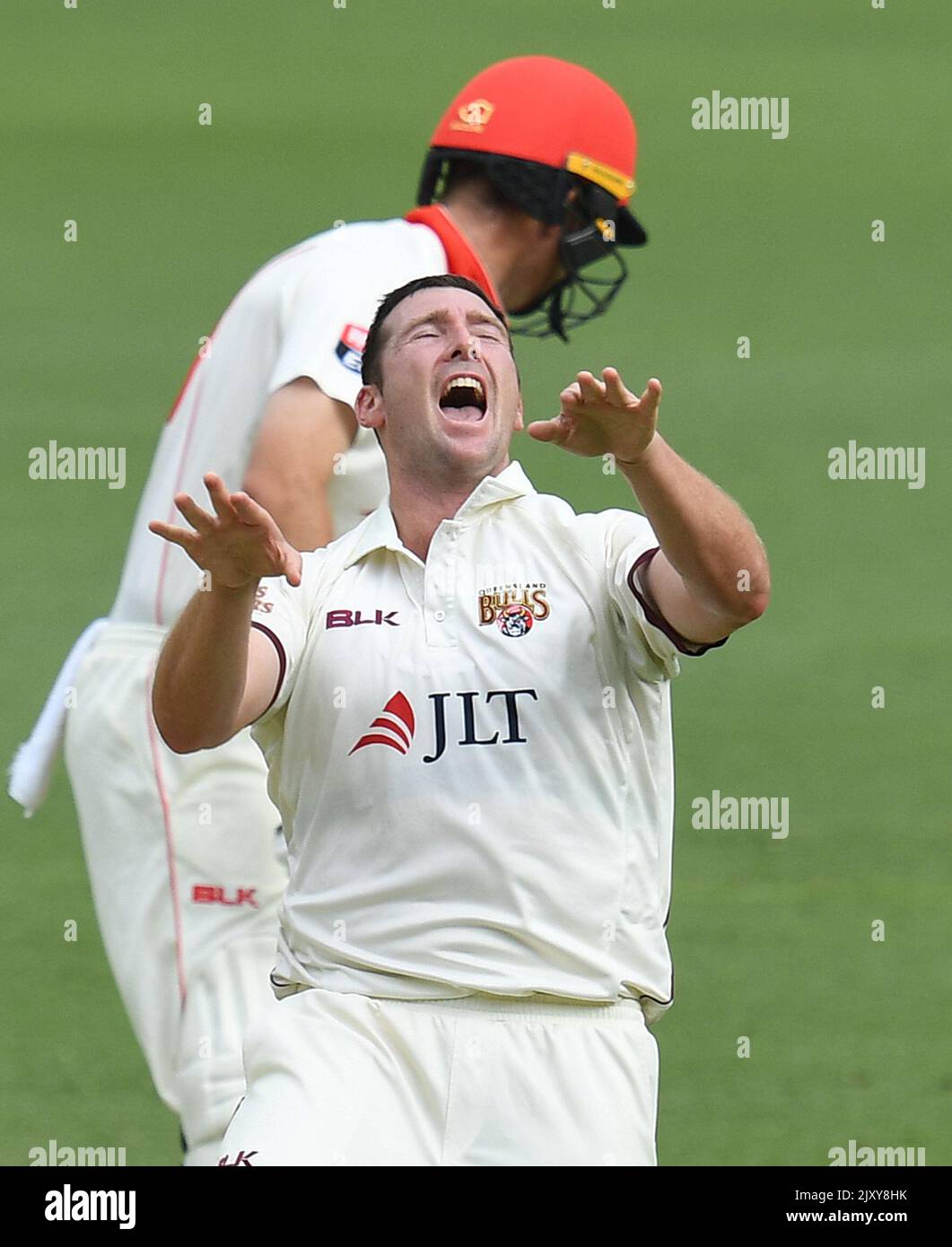 Queensland bowler Luke Feldman reacts after dismissing South Australian ...