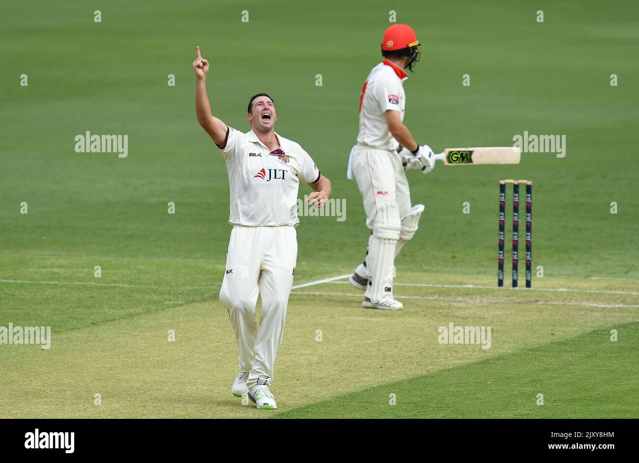 Queensland bowler Luke Feldman reacts after dismissing South Australian ...