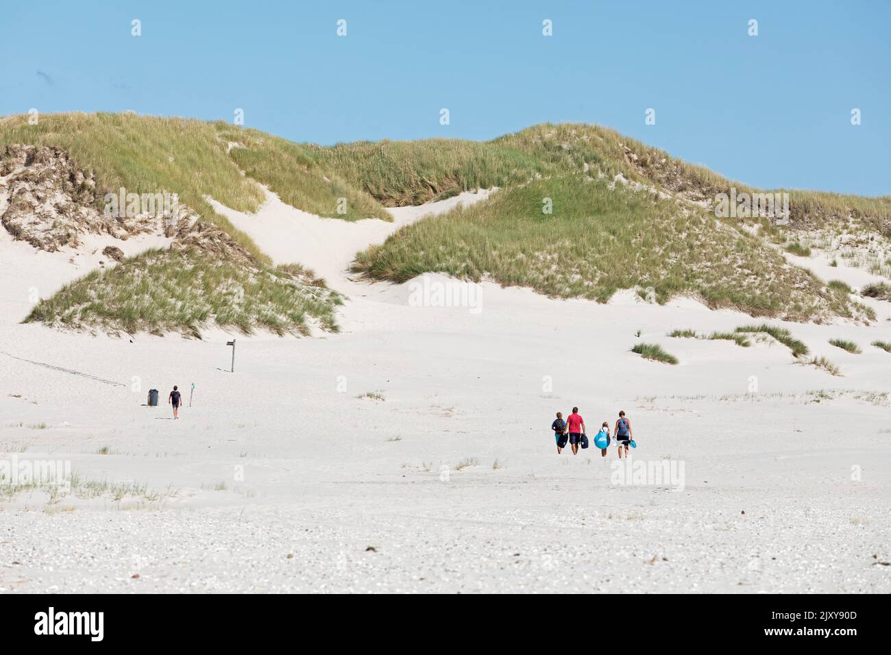 dunes, Kniepsand beach, Amrum Island, North Friesland, Schleswig ...