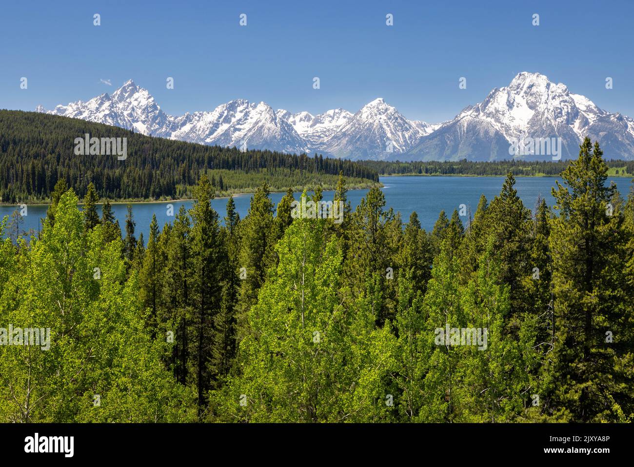 The Teton Mountains rising above Emma Matilda Lake and its surrounding ...
