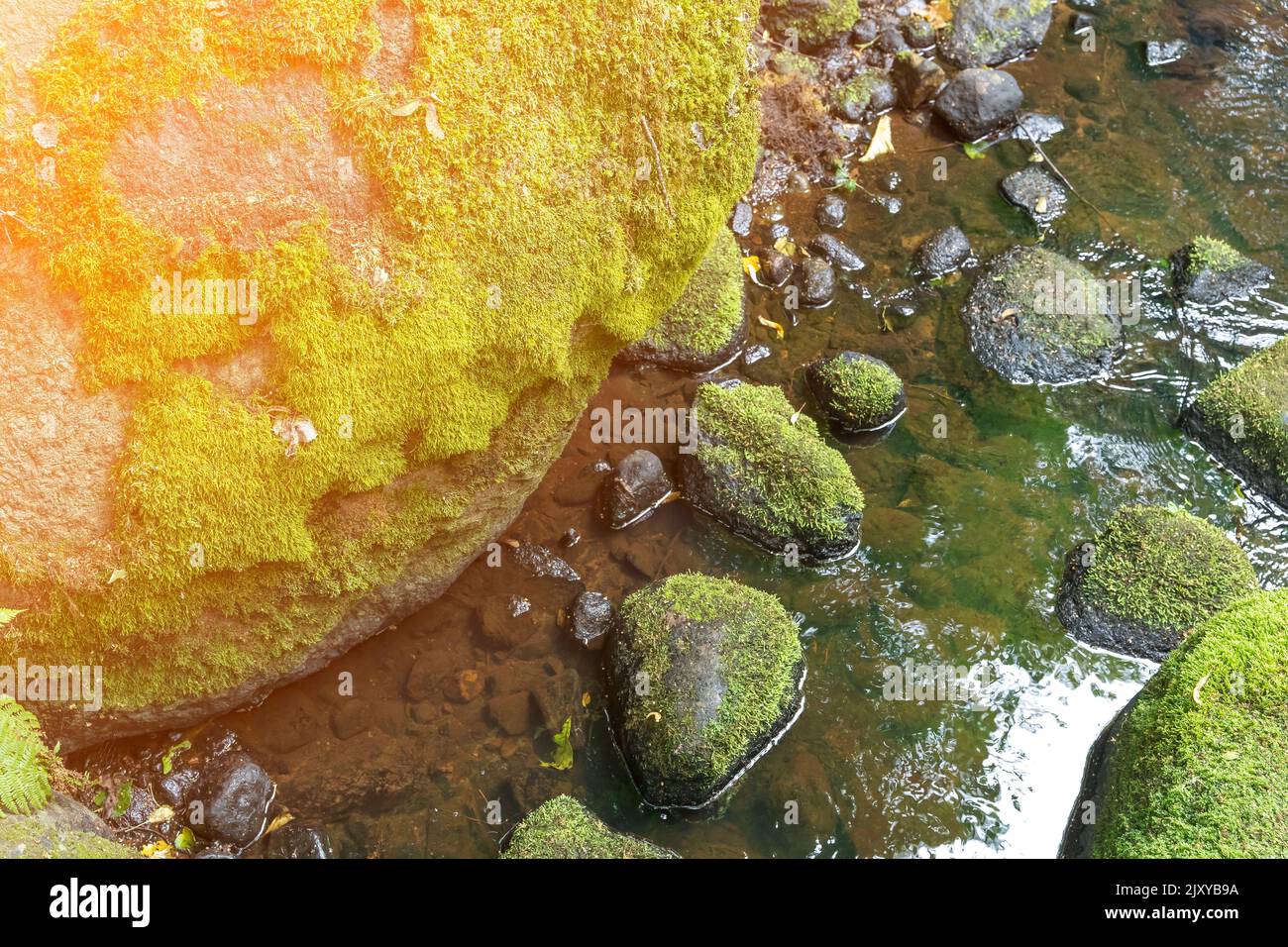 Stream flows among stones in hi-res stock photography and images - Alamy