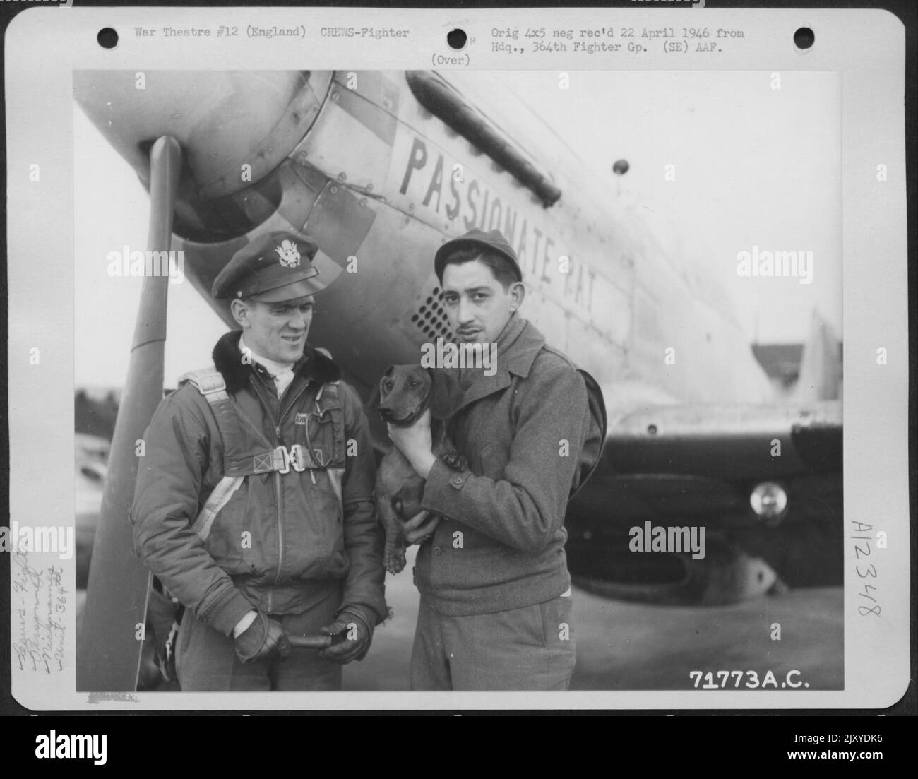 339th fighter group hi-res stock photography and images - Alamy