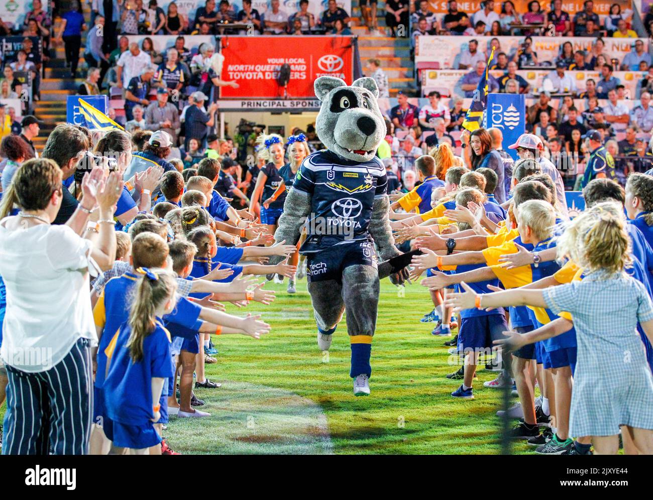 Bluey, the Cowboys mascot enters the field before the Round 1 NRL match ...