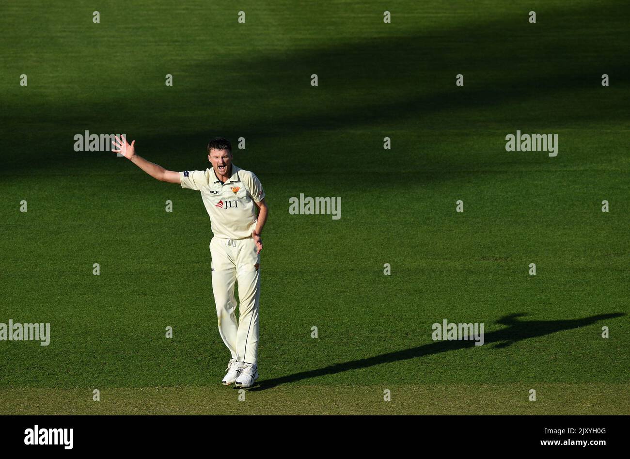 Tasmanian bowler Jackson Bird appeals during day 1 of the Round 10 ...