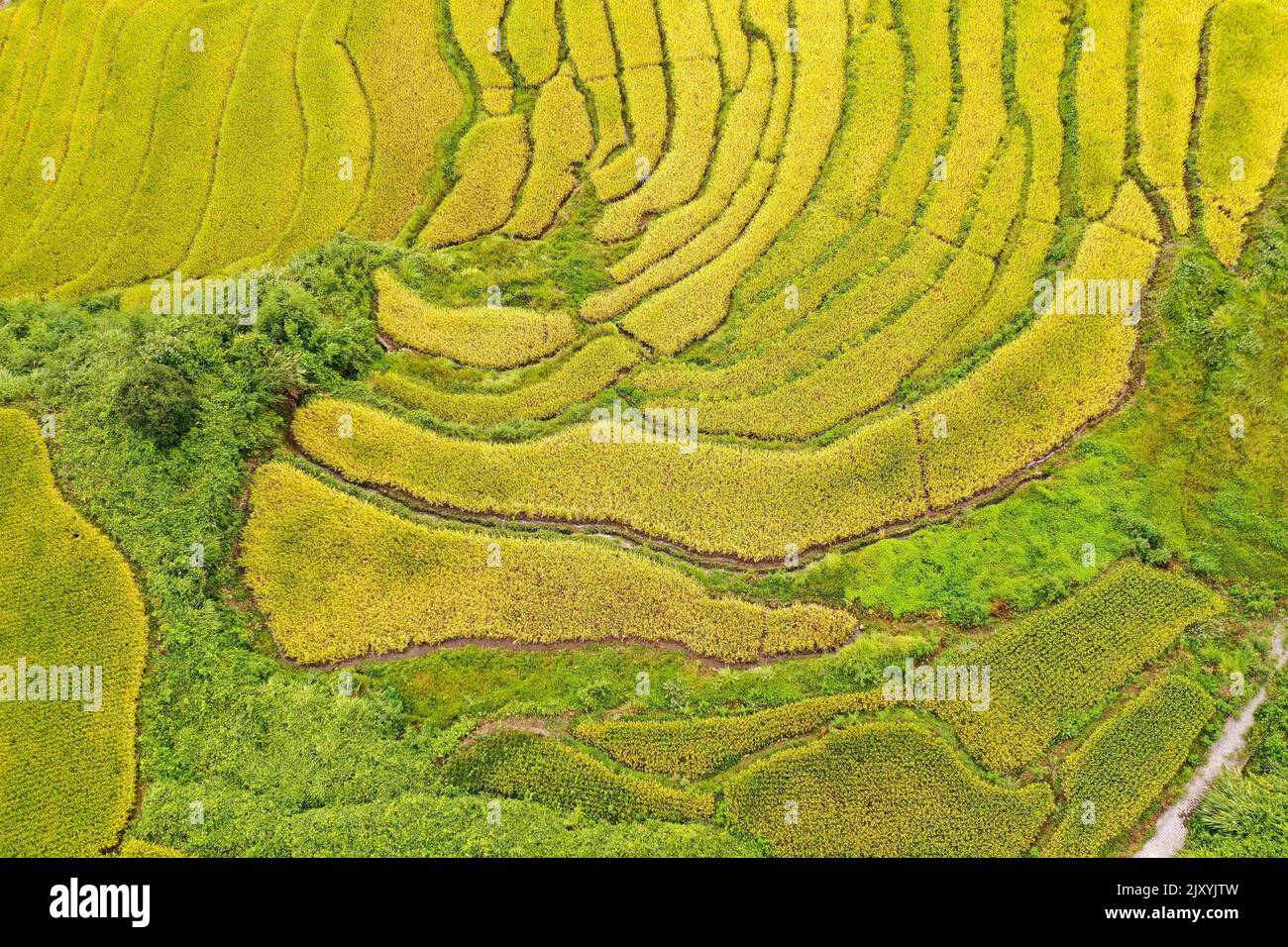 Meandering scroll hi-res stock photography and images - Alamy
