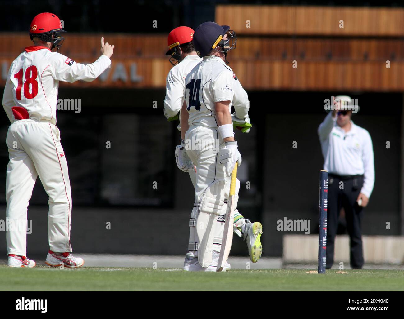 Marcus Harris is stumped by Redbacks wicketkeeper Harry Nielsen during ...