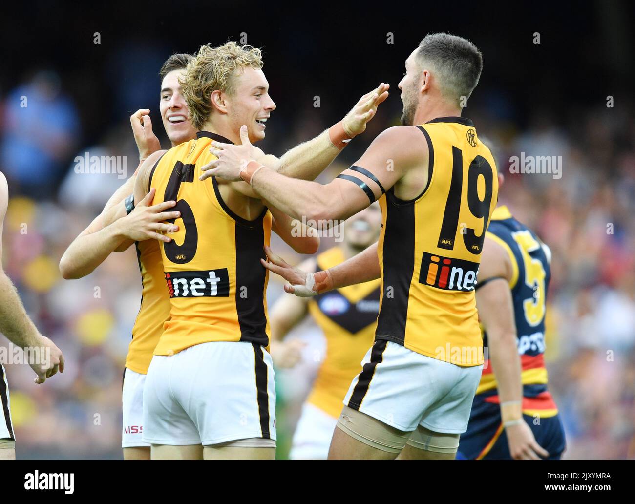 James Worpel celebrates a goal with Jack Gunston of the Hawks during ...