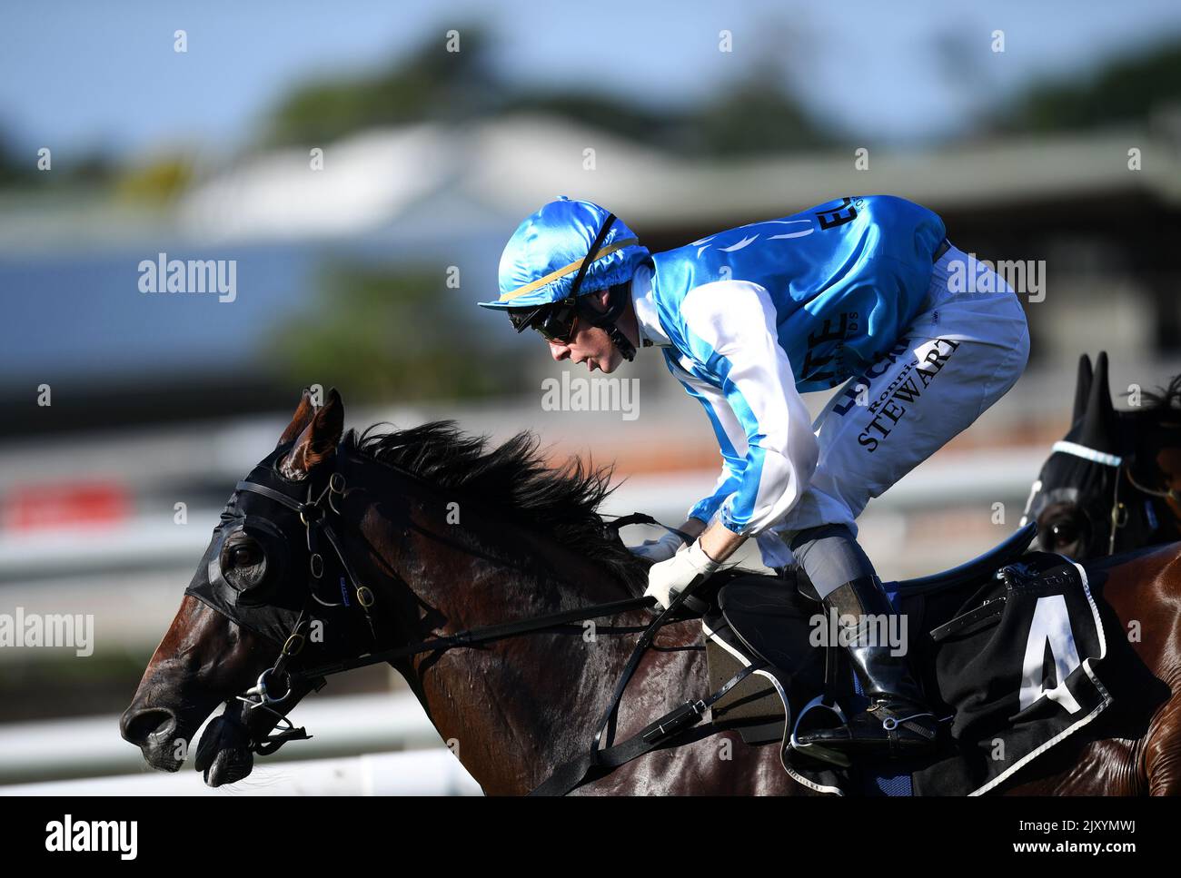 Jockey Ron Stewart rides Straturbo to win race 6, the Brisbane Racing ...