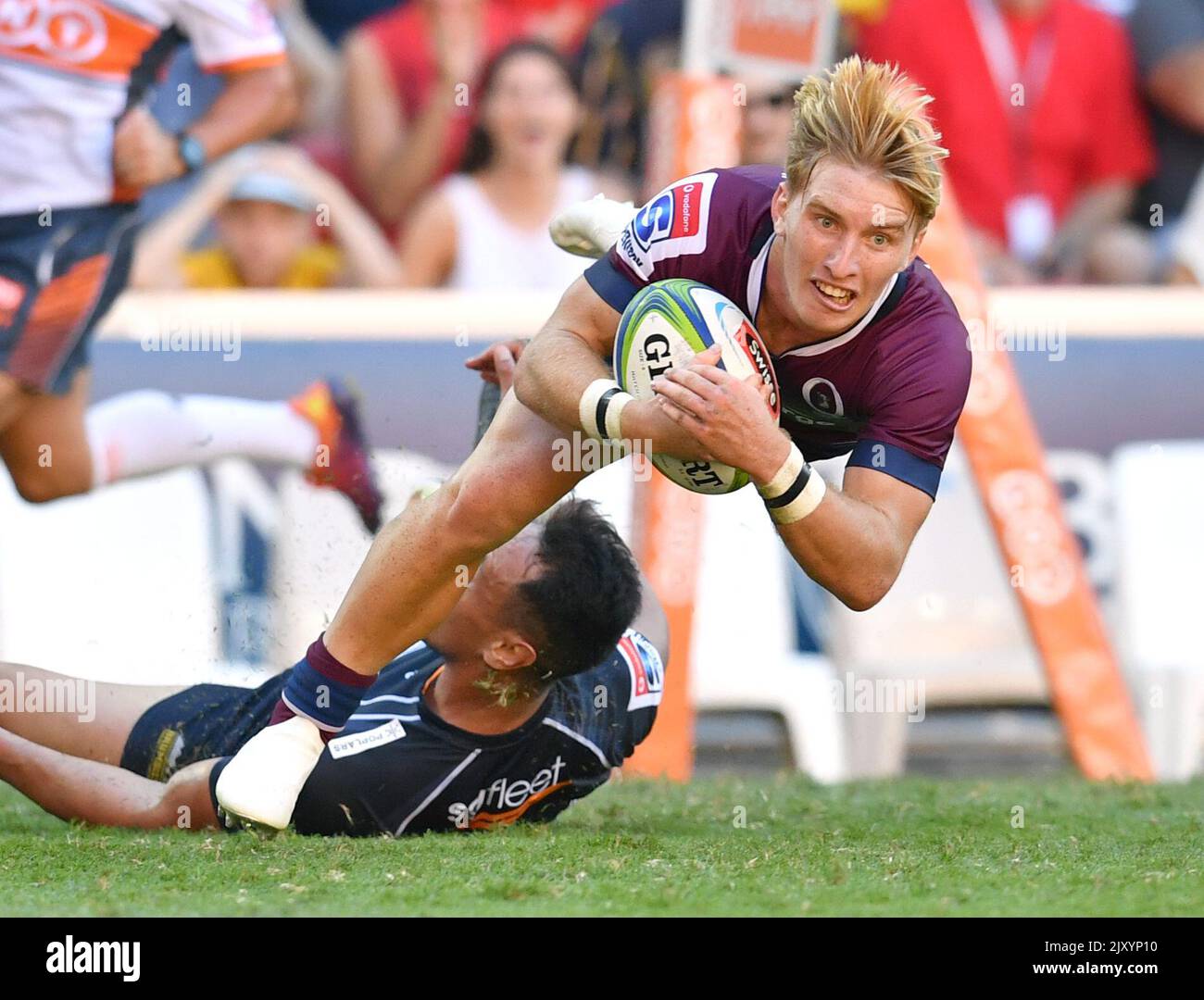 Tate McDermott of the Reds dives over to score a try during the Round 6 ...