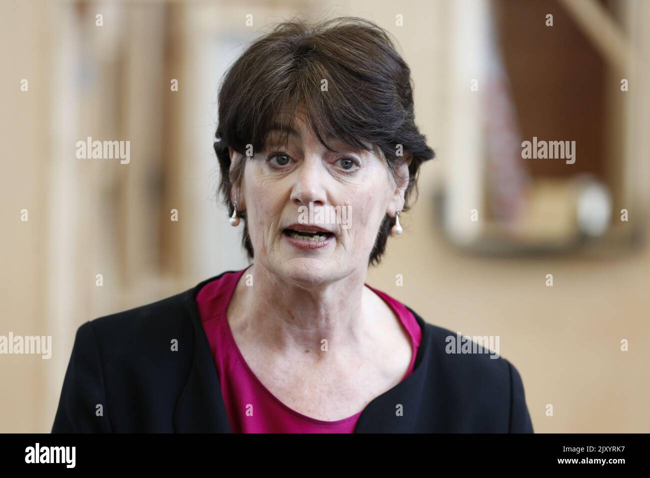 Labor candidate for Higgins Fiona McLeod speaks to the media during a ...