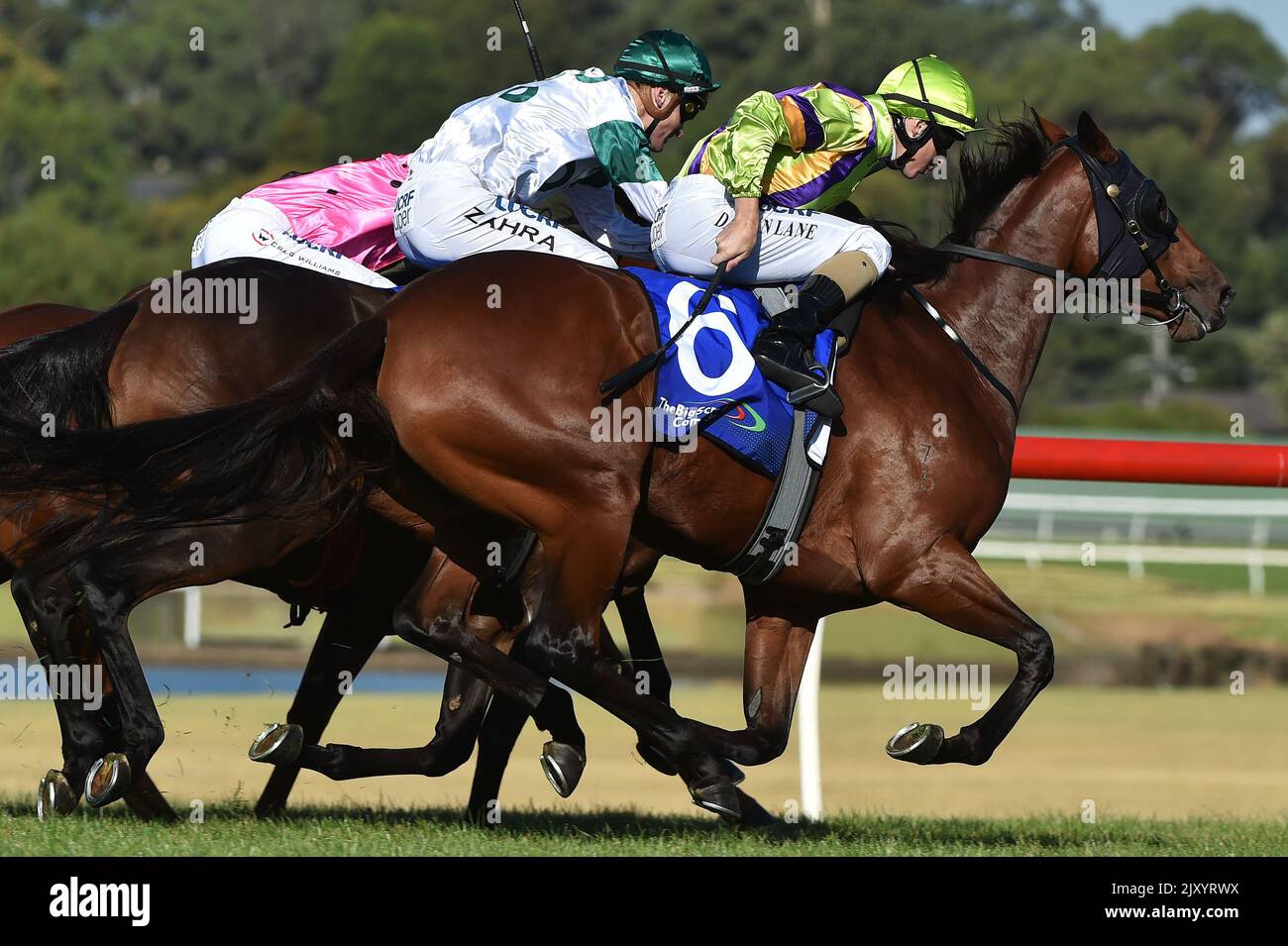Damian Lane (right) rides Limeshow to victory in race 5, the The Big ...