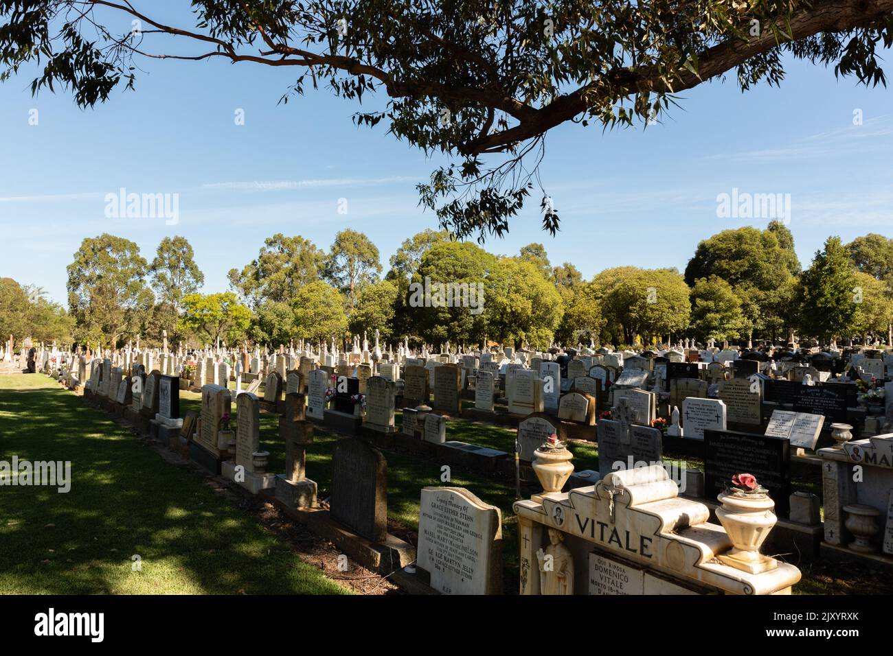 A stock image of Karrakatta Cemetery in Perth, Wednesday, March 27 ...