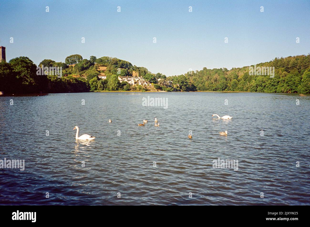 Stoke Gabriel, Devon, England,United Kingdom Stock Photo - Alamy