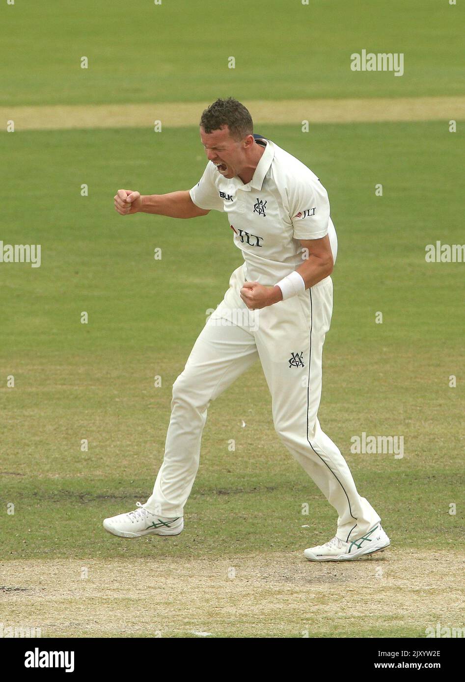 Peter Siddle of Victoria celebrates the wicket of Daniel Hughes of New ...