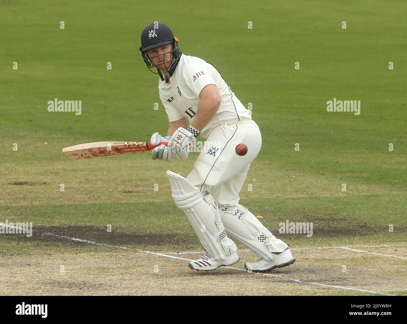 Travis Dean of Victoria batting during day 2 of the JLT Sheffield ...
