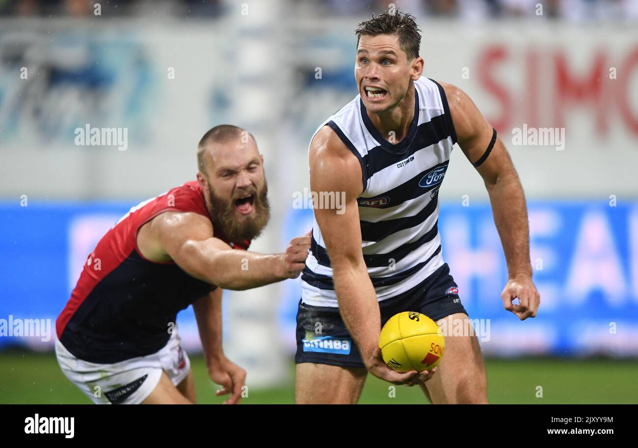 Tom Hawkins of the Cats (right) and Max Gawn of the Demons contest ...