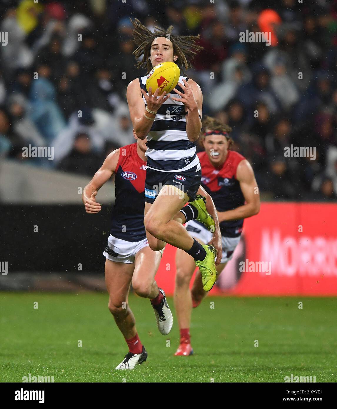 Gryan Miers of the Cats is seen in action during the Round 2 AFL match ...