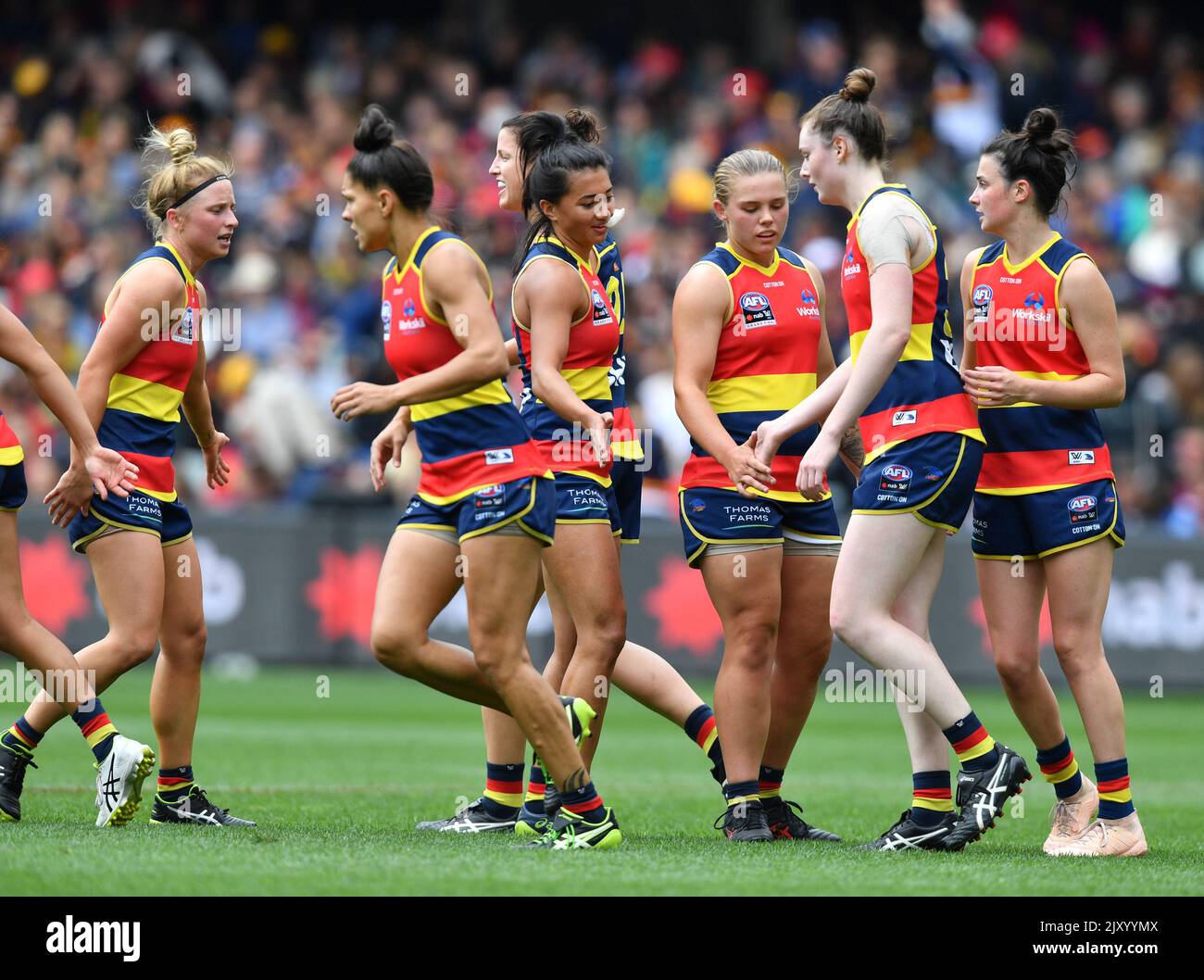 Crows players during the AFLW Grand Final match between the Adelaide ...