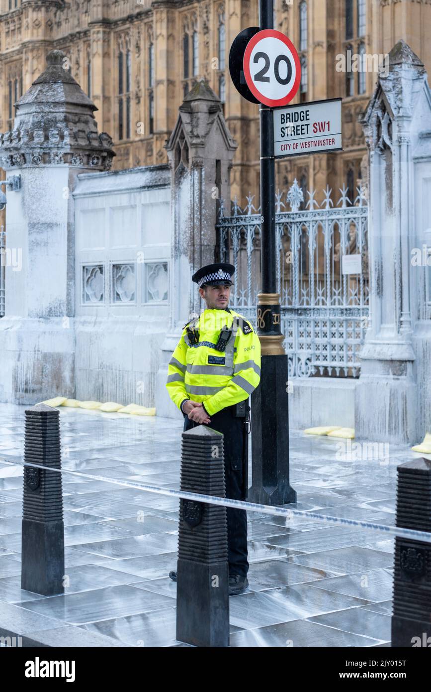 Animal Rebellion protesters sprayed a wall of the Palace of Westminster ...