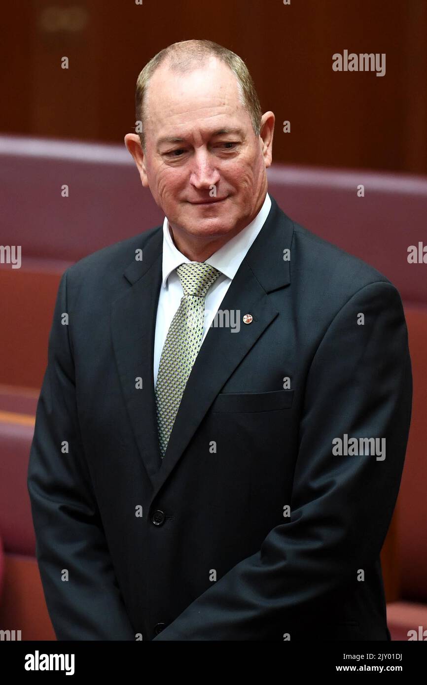 Independent Senator Fraser Anning in the Senate chamber during Senate ...