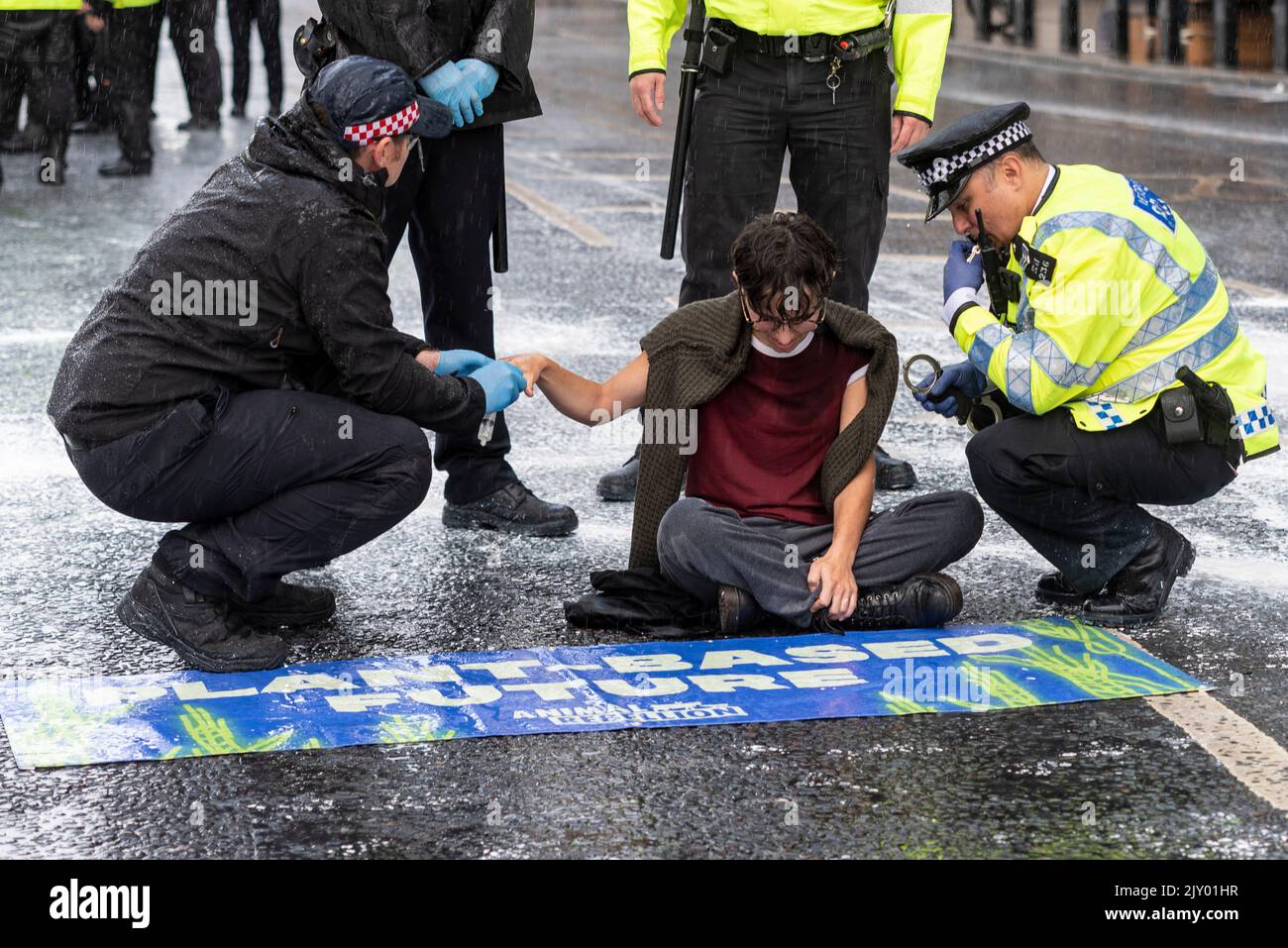 Animal Rebellion protesters sprayed a wall of the Palace of Westminster ...