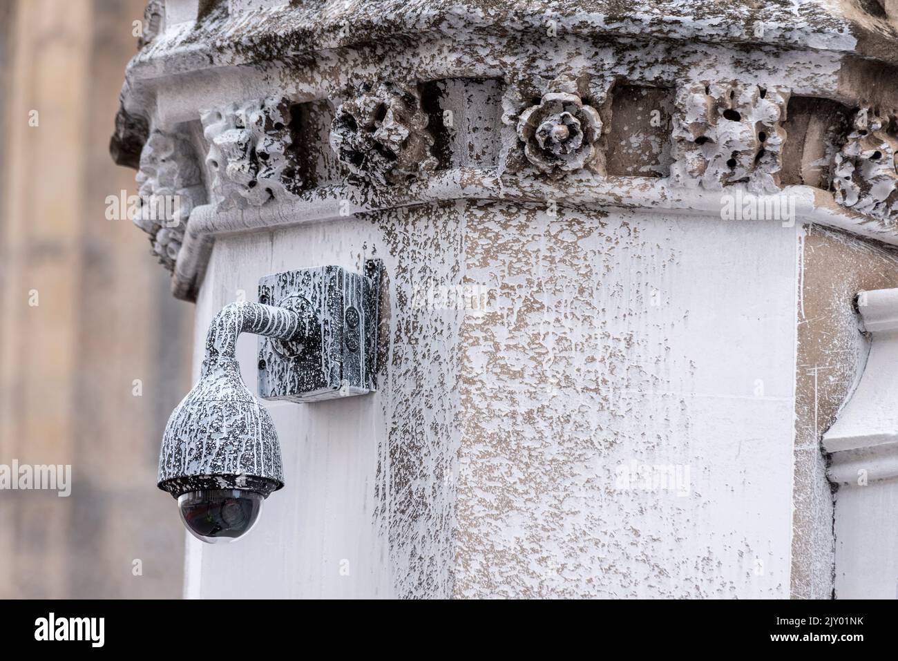 Animal Rebellion protesters sprayed a wall of the Palace of Westminster ...