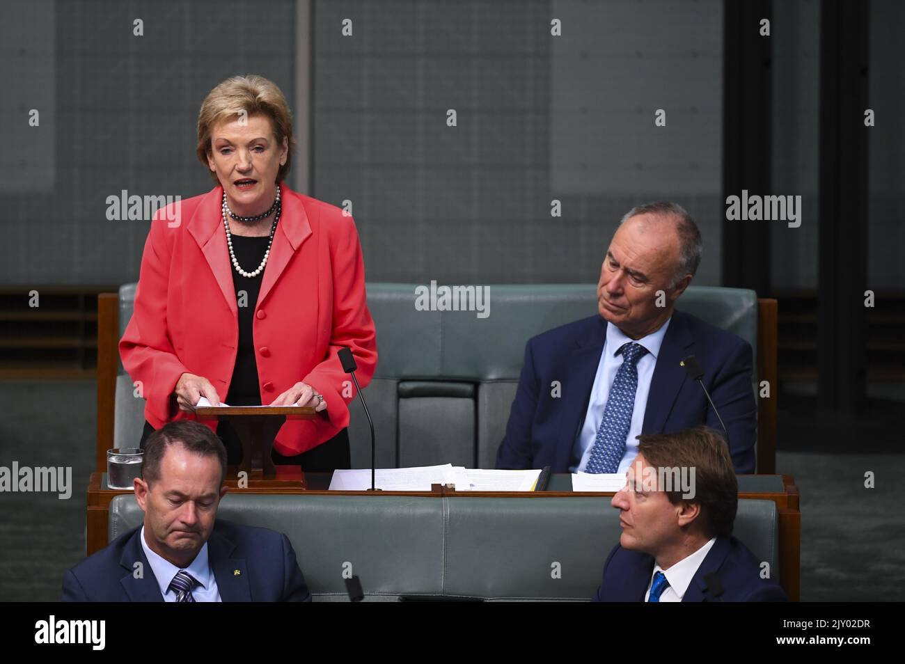 Liberal backbencher Jane Prentice delivers her valedictory speech in ...