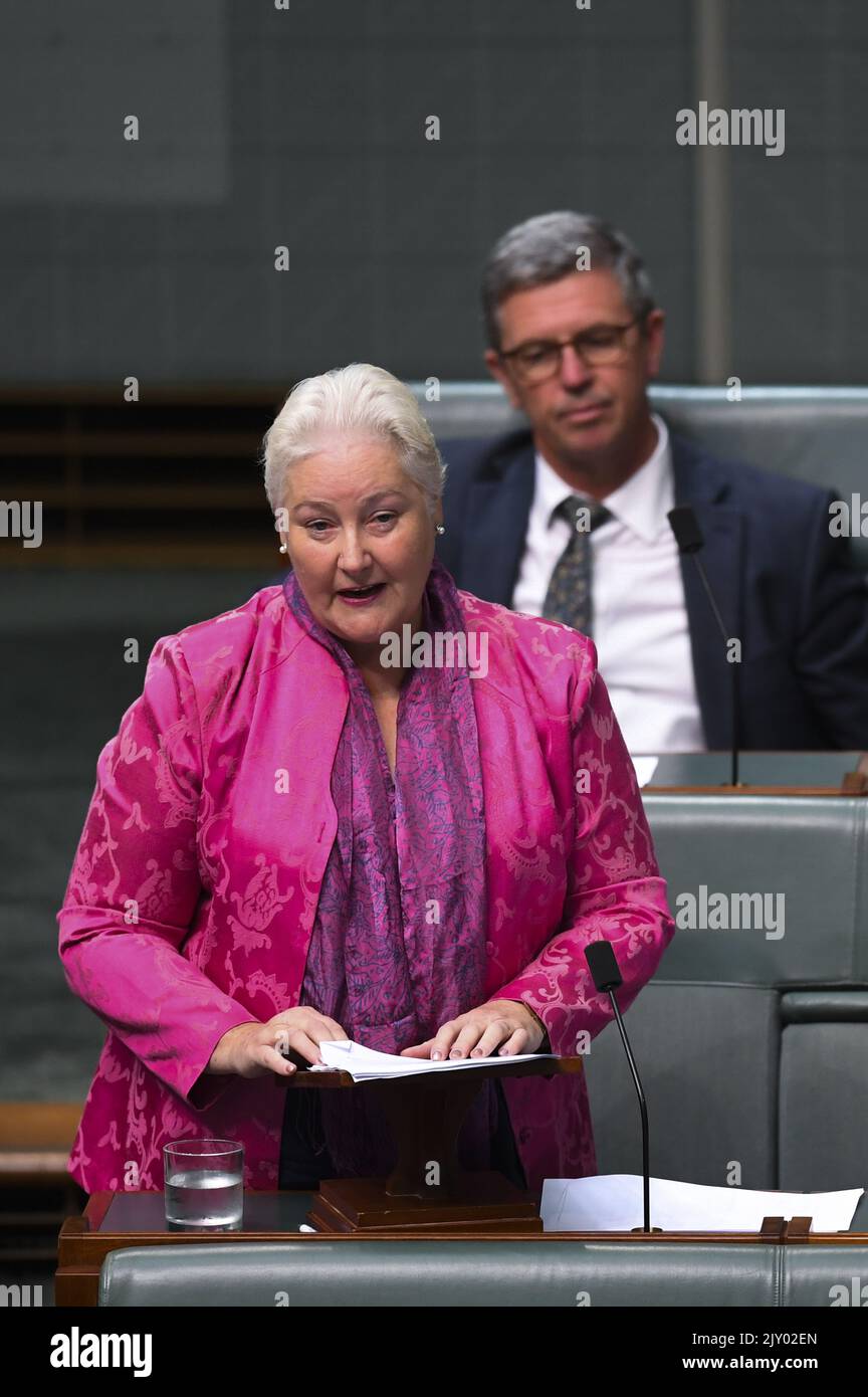Liberal backbencher Ann Sudmalis delivers her valedictory speech in the ...