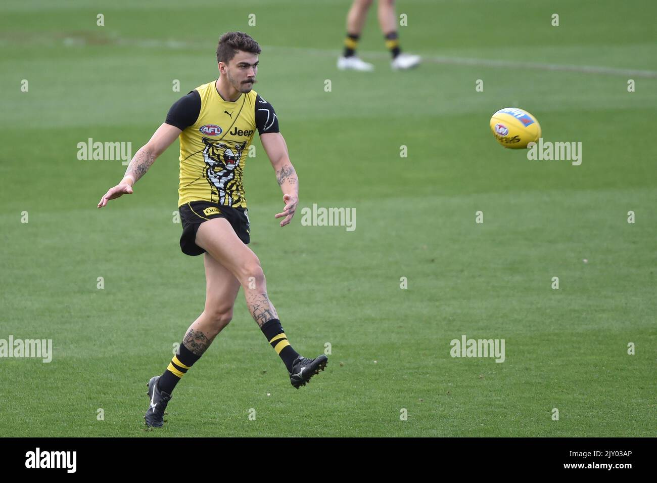 Oleg Markov of the Richmond Tigers is seen in action during the teams ...