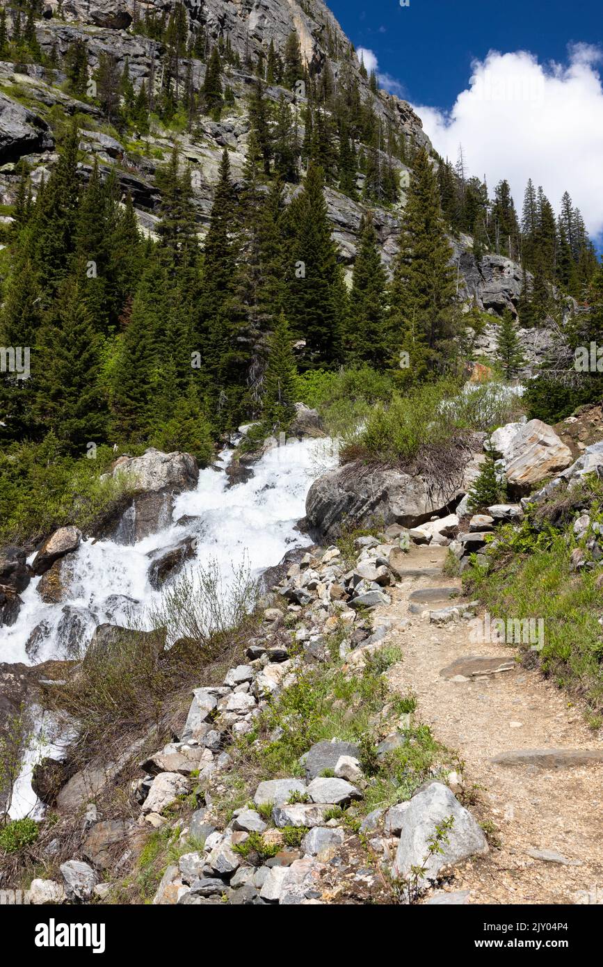 The Death Canyon Trail winding past a roaring waterfall along Death Canyon Creek. Grand Teton ...