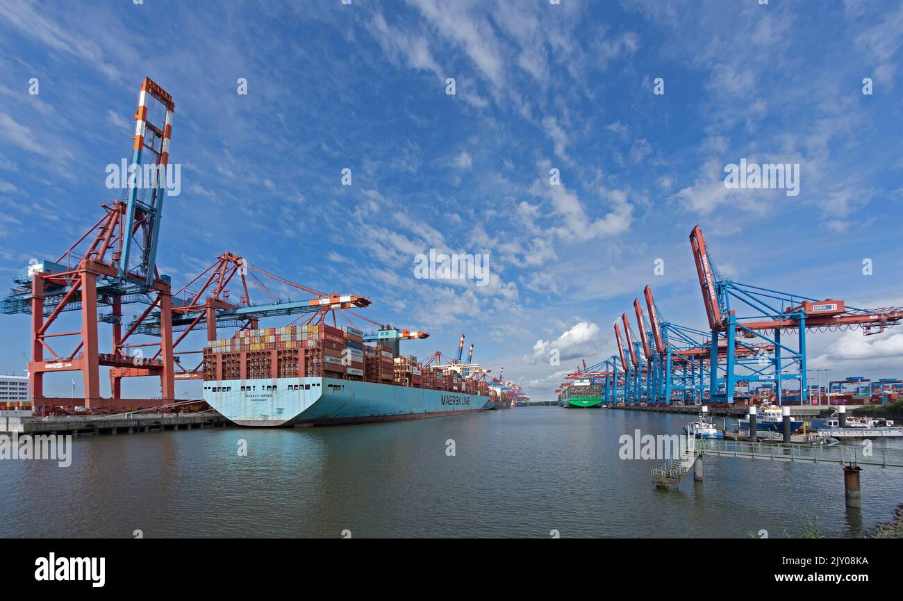 Container Terminals Eurogate und Burchardkai, Waltershof, Hamburg ...