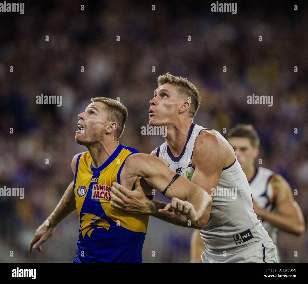 Nathan Vardy of the Eagles and Rory Lobb of the Dockers during the ...