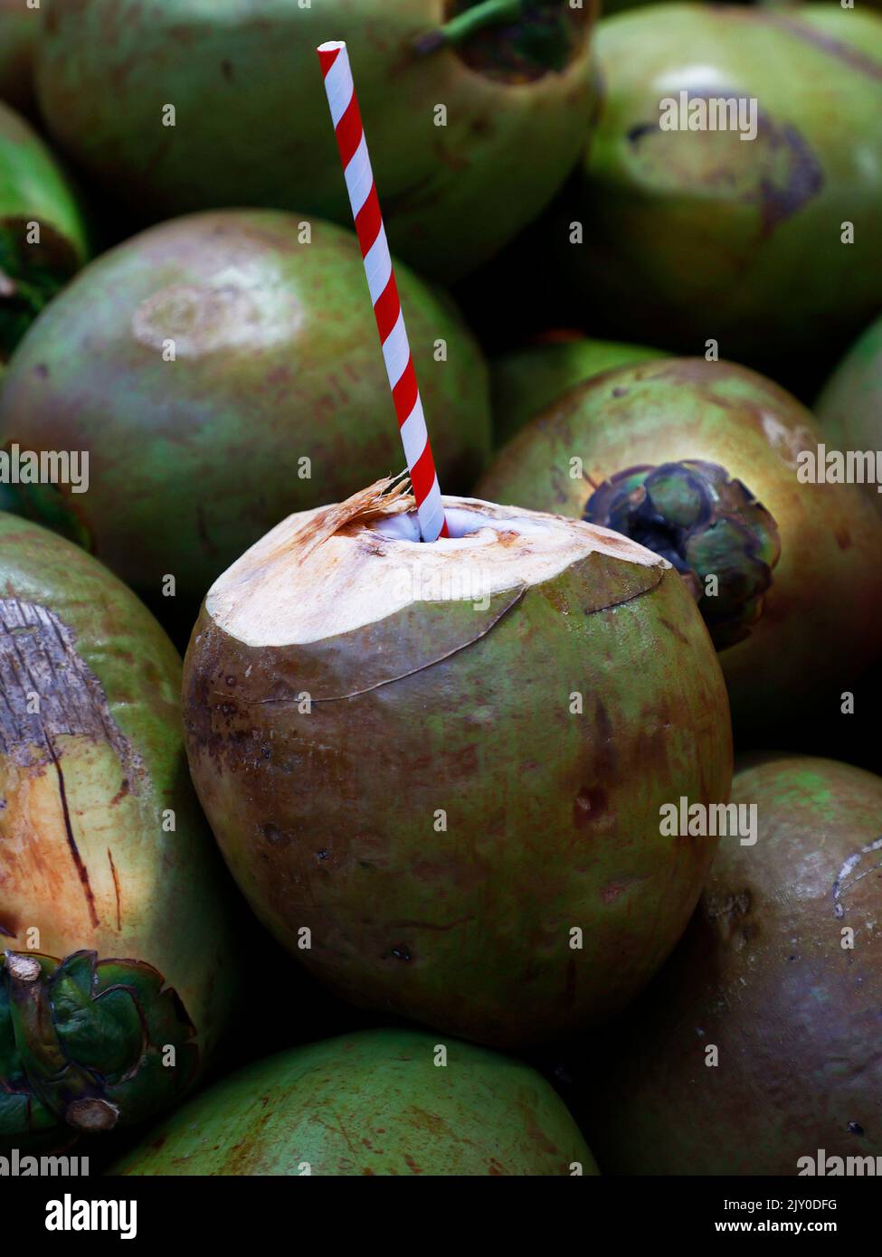 Coconut with the top cut and a straw seen between other seeds and ready ...