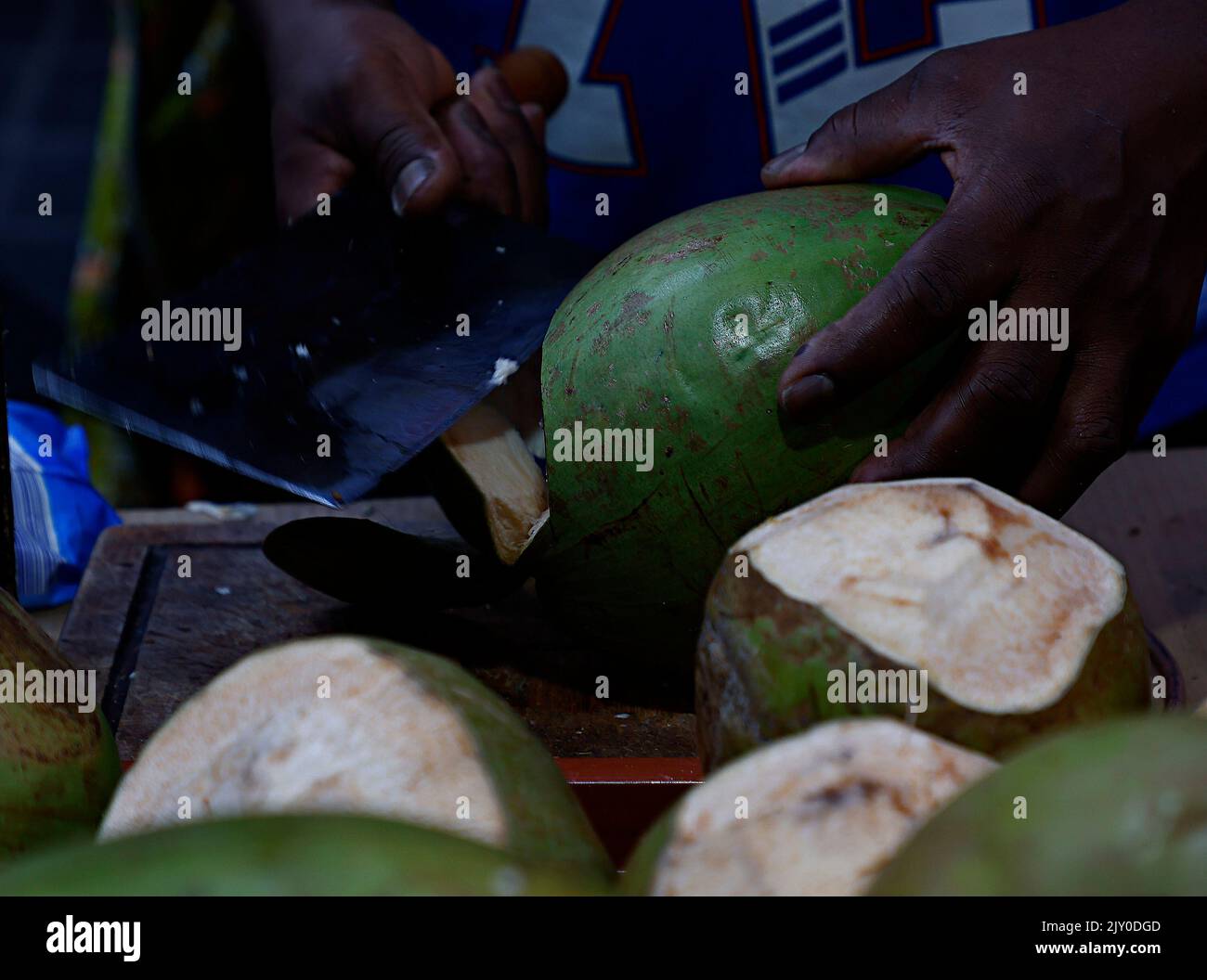 Green coconut seen being prepared for drinking by cutting the top with ...
