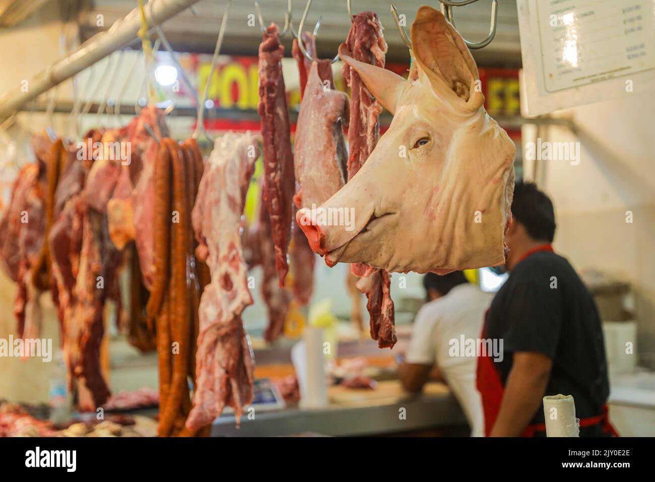 Municipal market "Alonso Felipe de Andrade" of Ciudad del Carmen ...